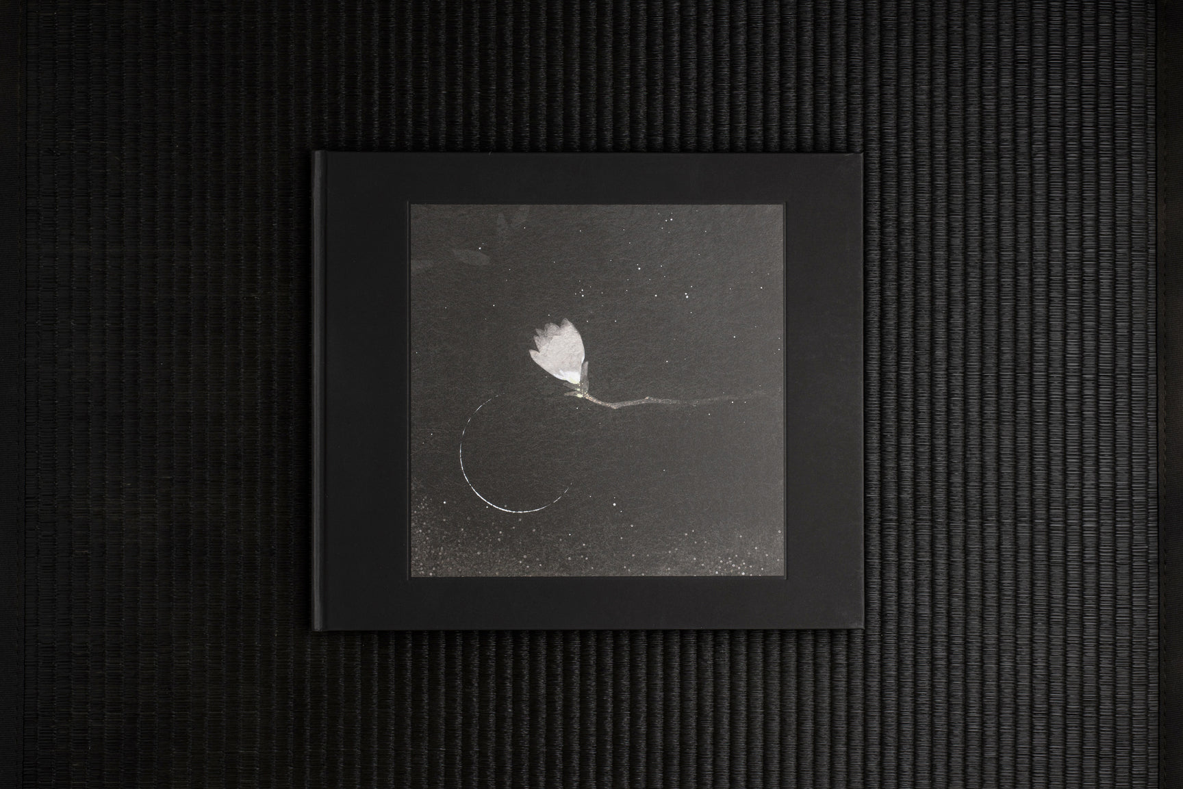 Currently In Stock – Mili Online Store