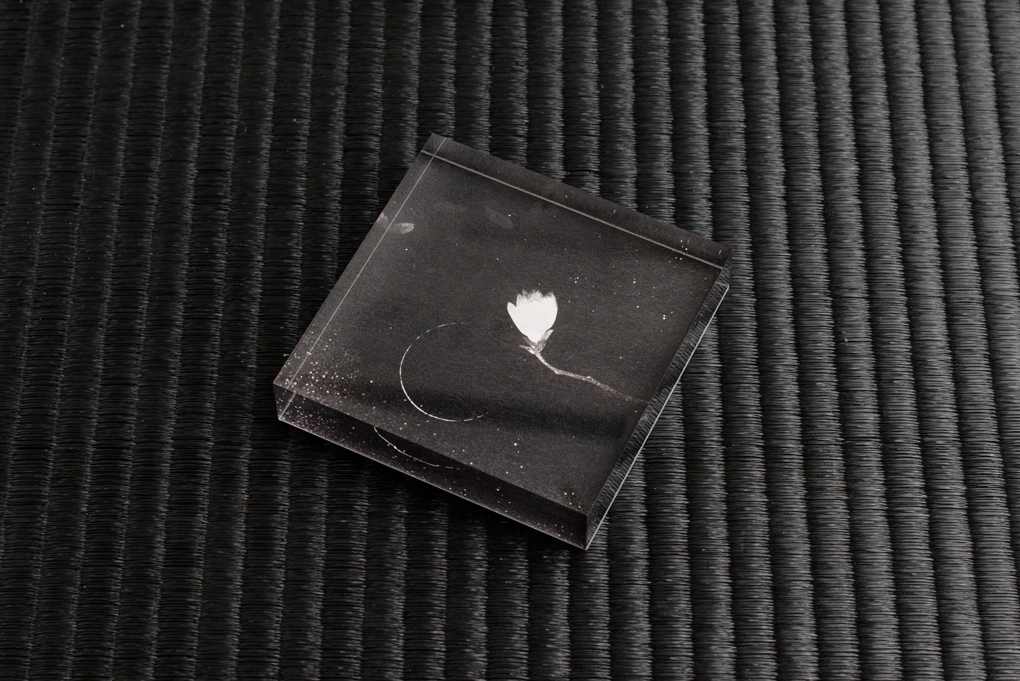 Currently In Stock – Mili Online Store